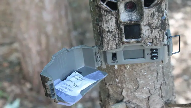 Trail Camera Maintenance: A Complete Checklist – Trail Cam Junkie