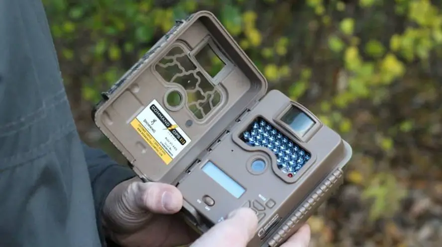 How Often Should You Check Trail Cameras? - Trail Cam Junkie