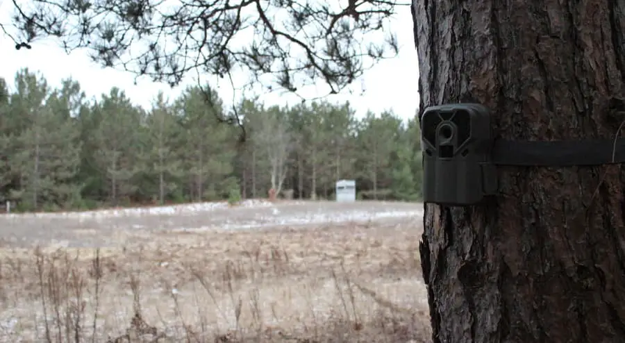 11 Features To Look For When Buying A Trail Camera - Trail Cam Junkie