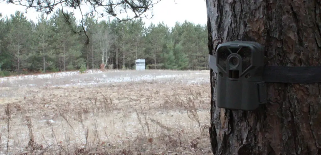 11 Features To Look For When Buying A Trail Camera – Trail Cam Junkie