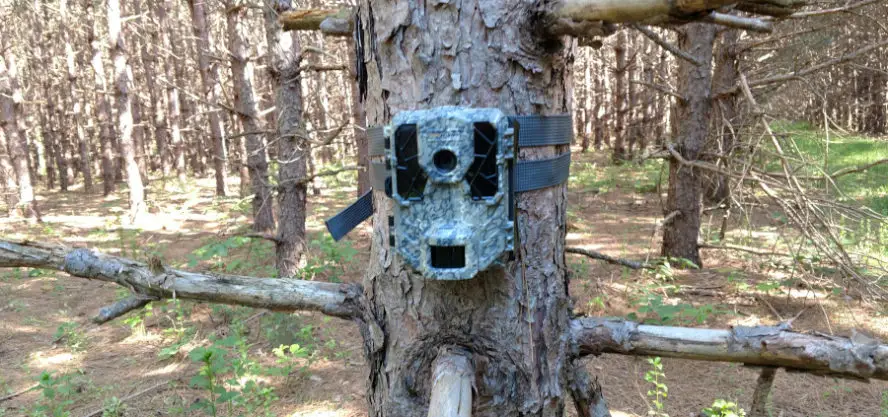 How Trail Cameras Work – Trail Cam Junkie