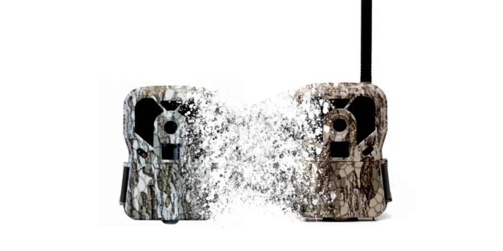 Cellular vs Traditional Trail Cameras: 21 Important Considerations ...