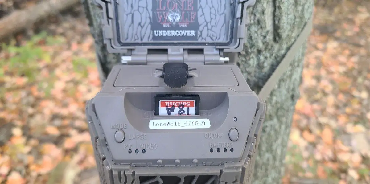 Complete Review Of The Lone Wolf Undercover Trail Camera – Trail Cam Junkie