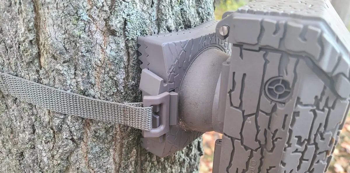 Complete Review Of The Lone Wolf Undercover Trail Camera – Trail Cam Junkie